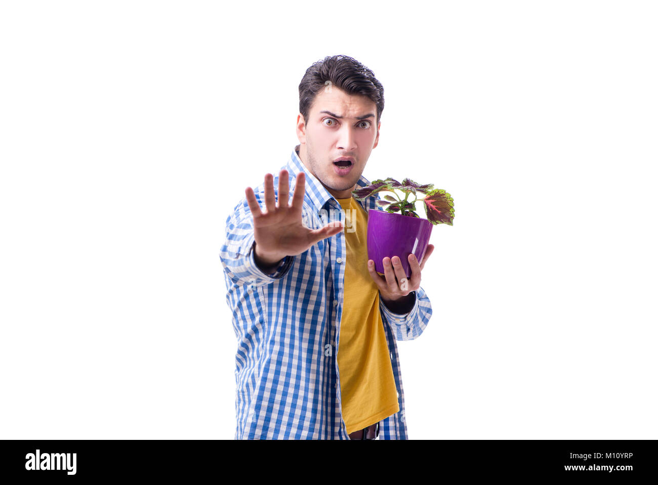 Young man with flower pot isolated on white Stock Photo - Alamy