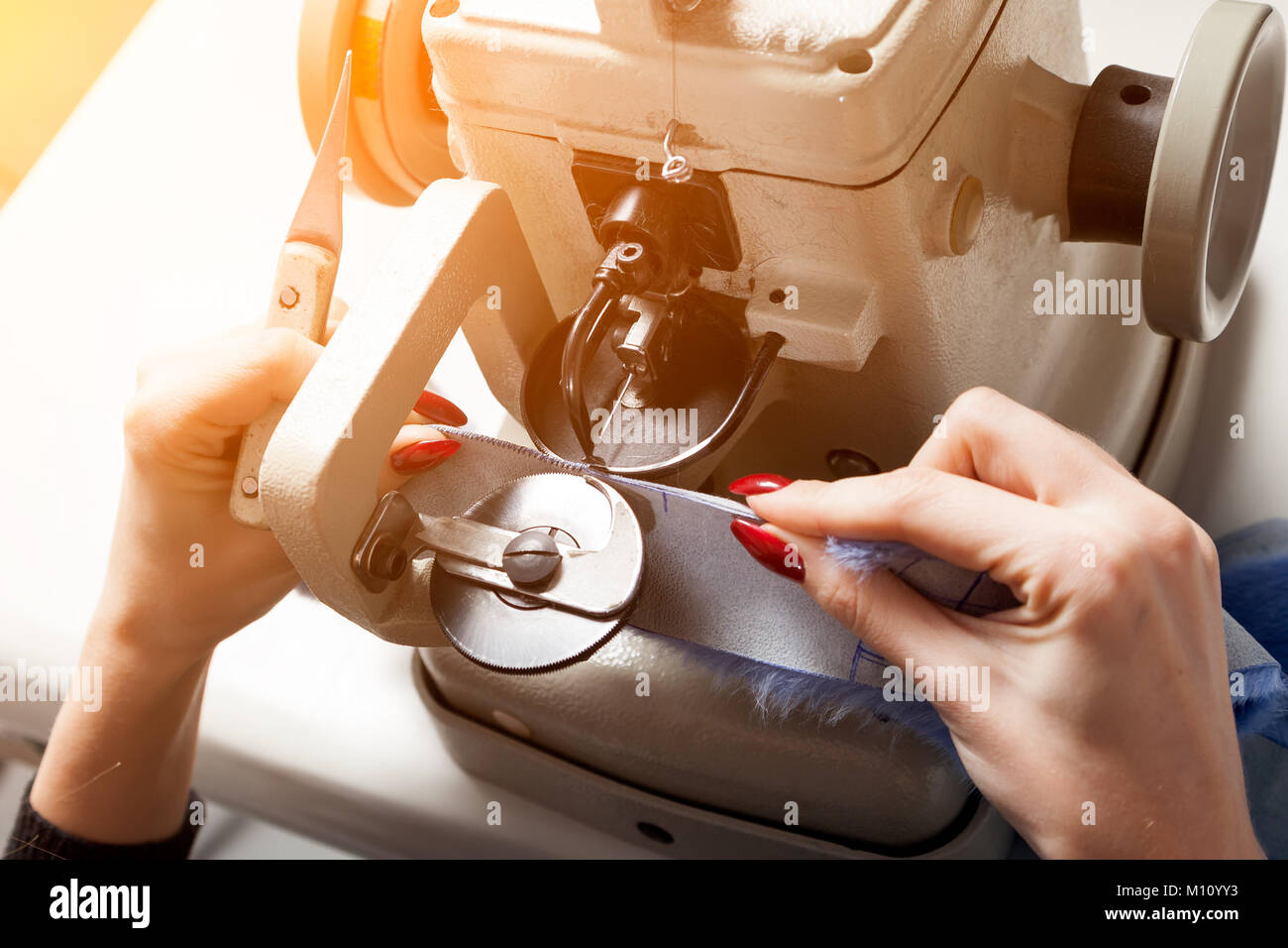 Woman scinner, furrier works on sewing machine with natural fur Stock ...