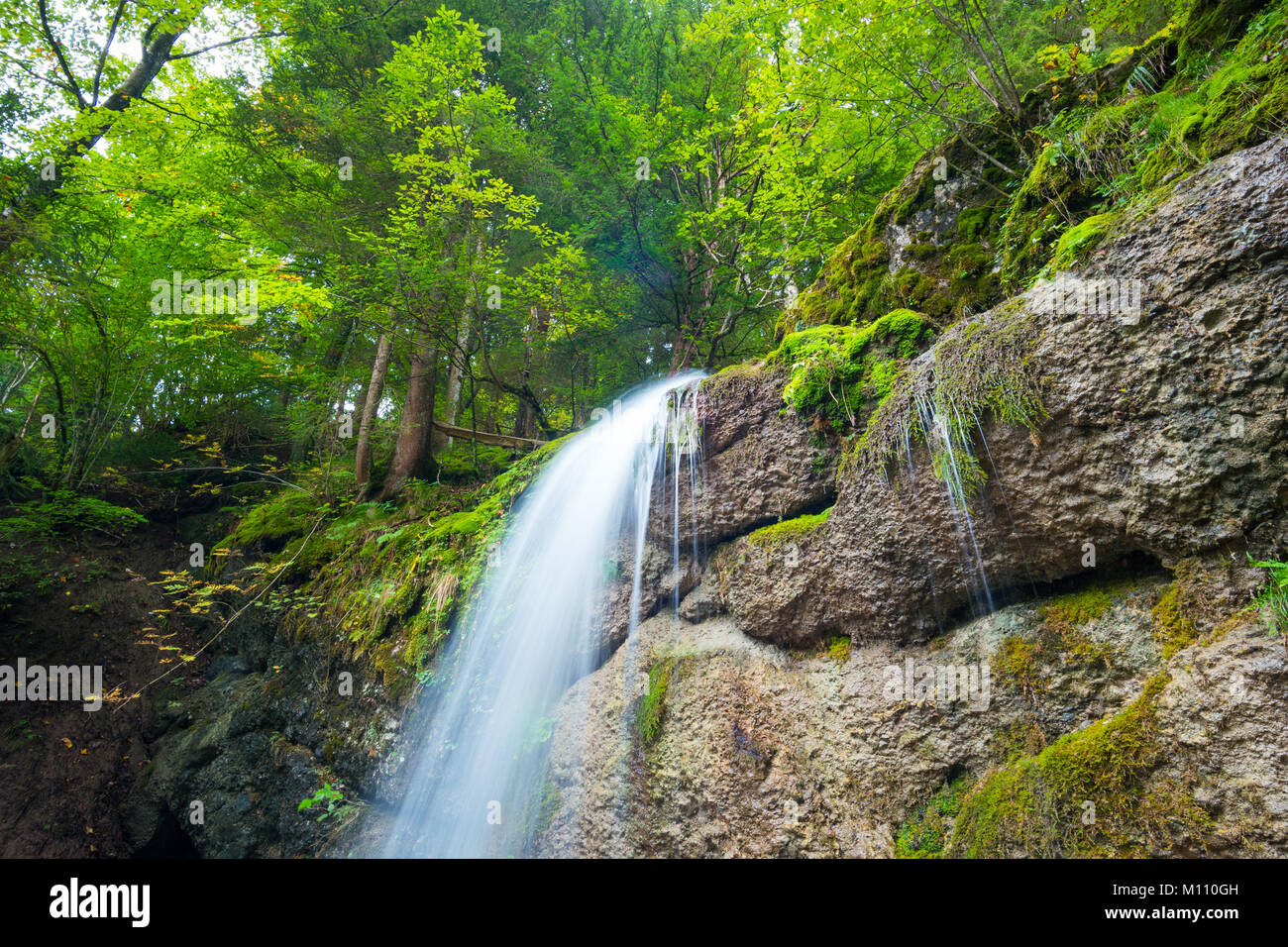 Waterfall in a Bavarian forest Stock Photo - Alamy