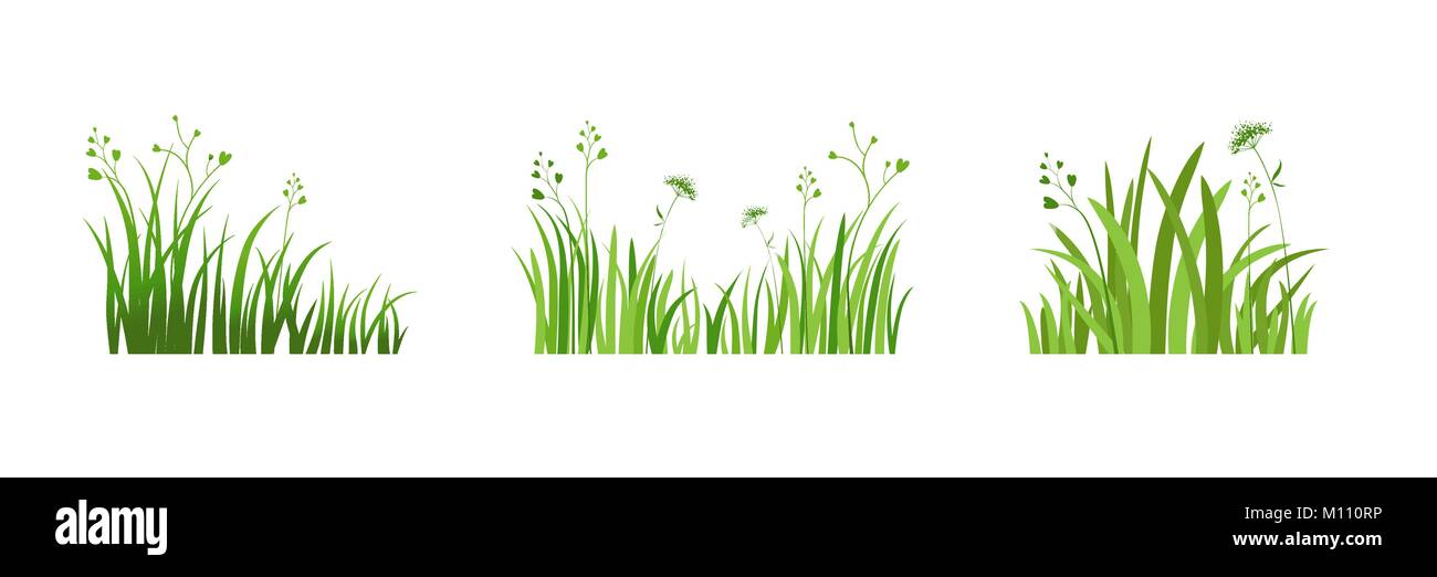 Green flora icon cartoon hi-res stock photography and images - Alamy