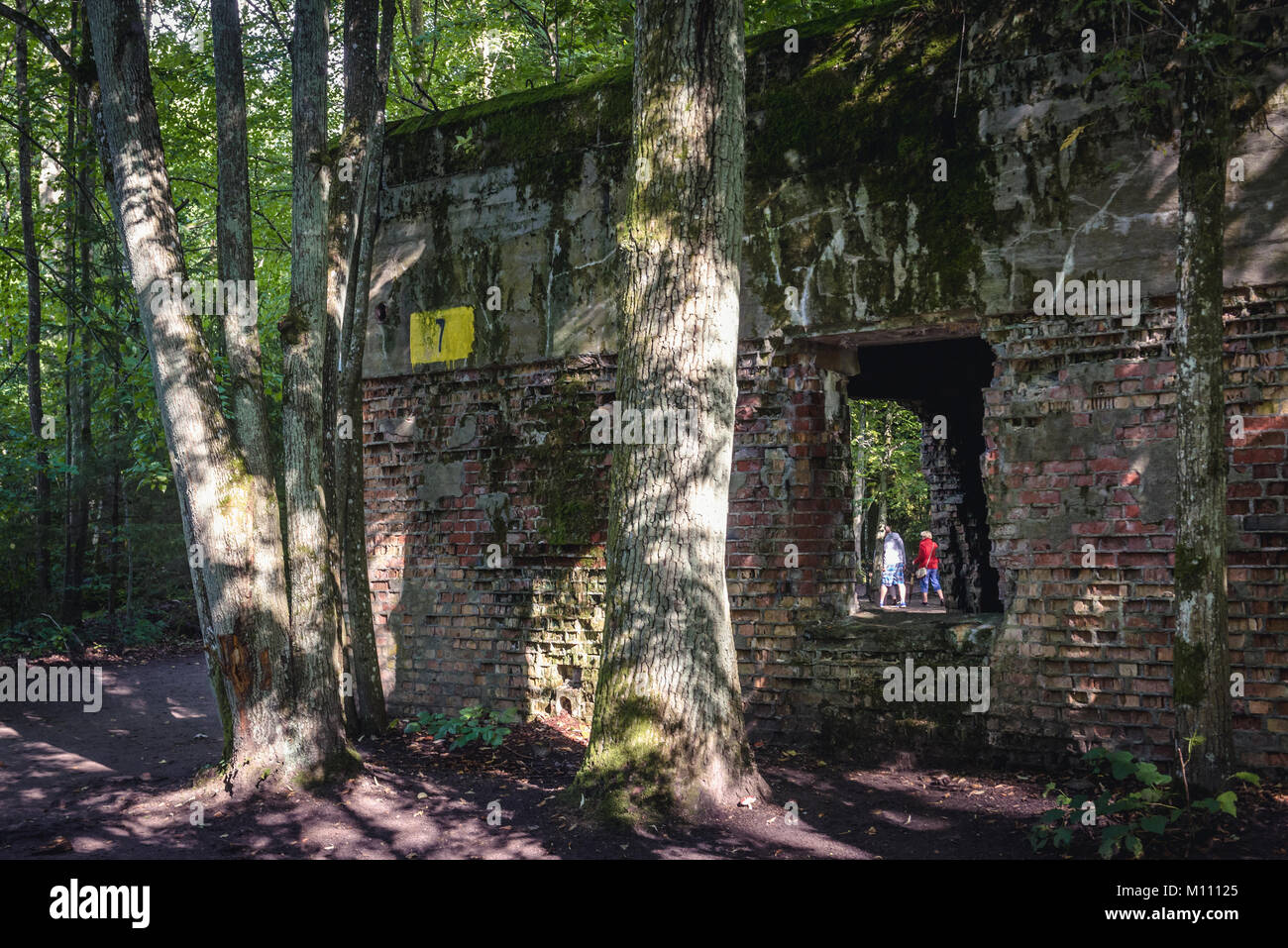 Ruins of Wolf's Lair - the headquarters of Adolf Hitler and the Nazi ...