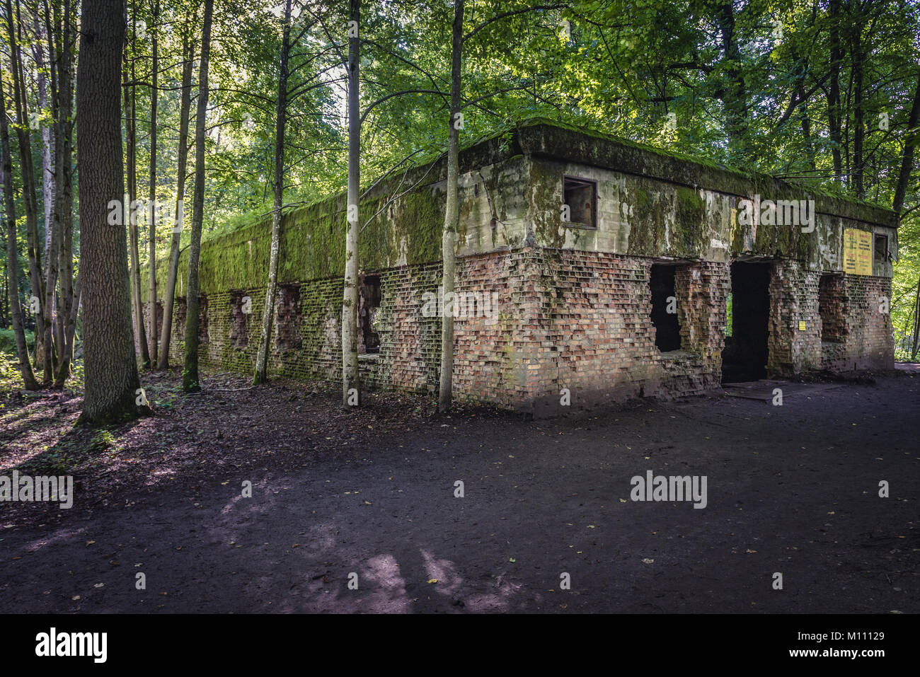 Wolf's lair wolf's lair hi-res stock photography and images - Alamy