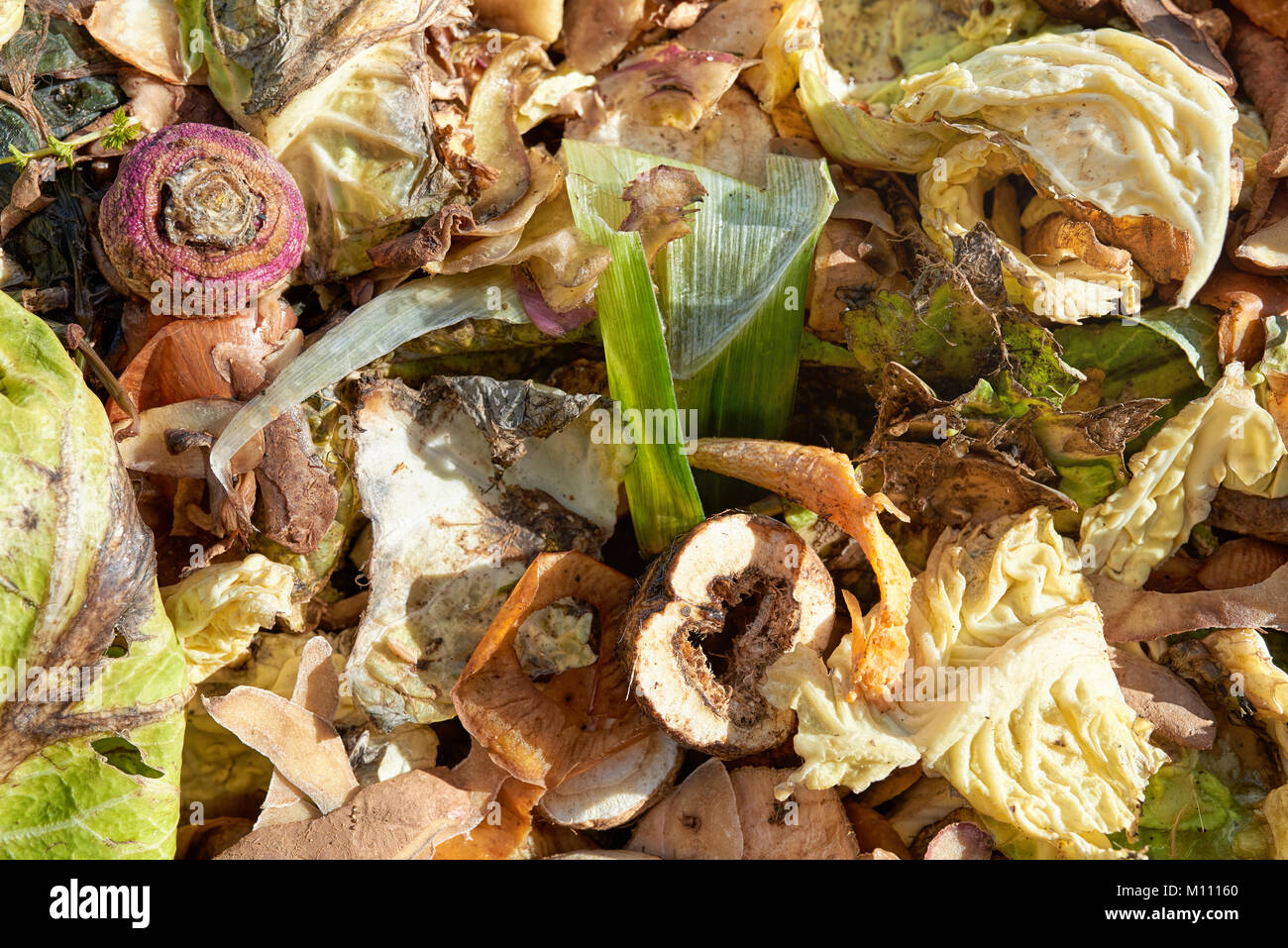 Compost for composted earth. Kitchen and Garden Waste - Vegetables ...