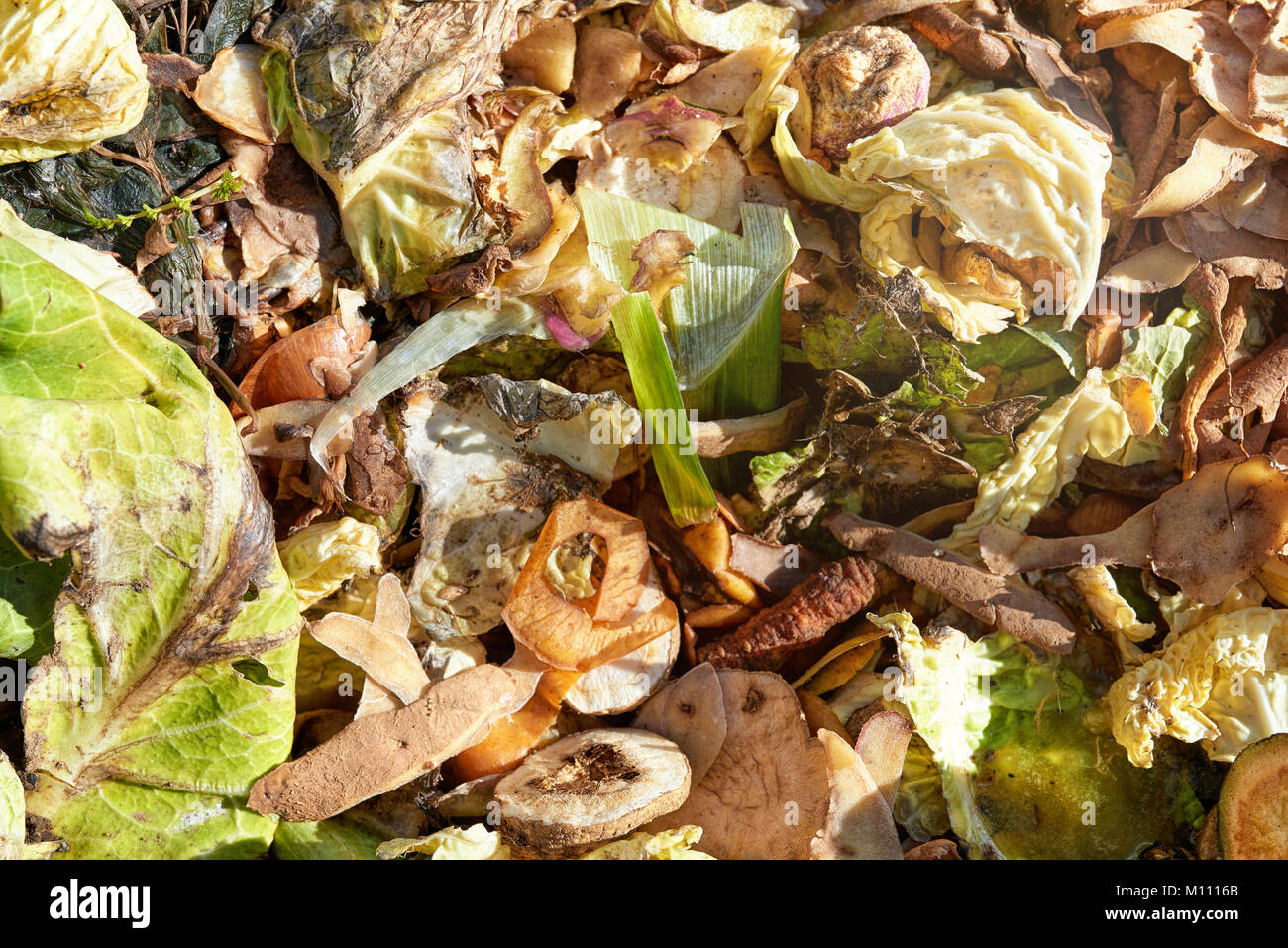 Compost for composted earth. Kitchen and Garden Waste - Vegetables ...