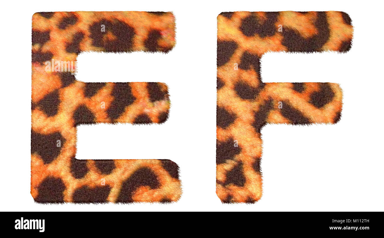 Leopard fur E and F letters isolated over white background Stock Photo ...