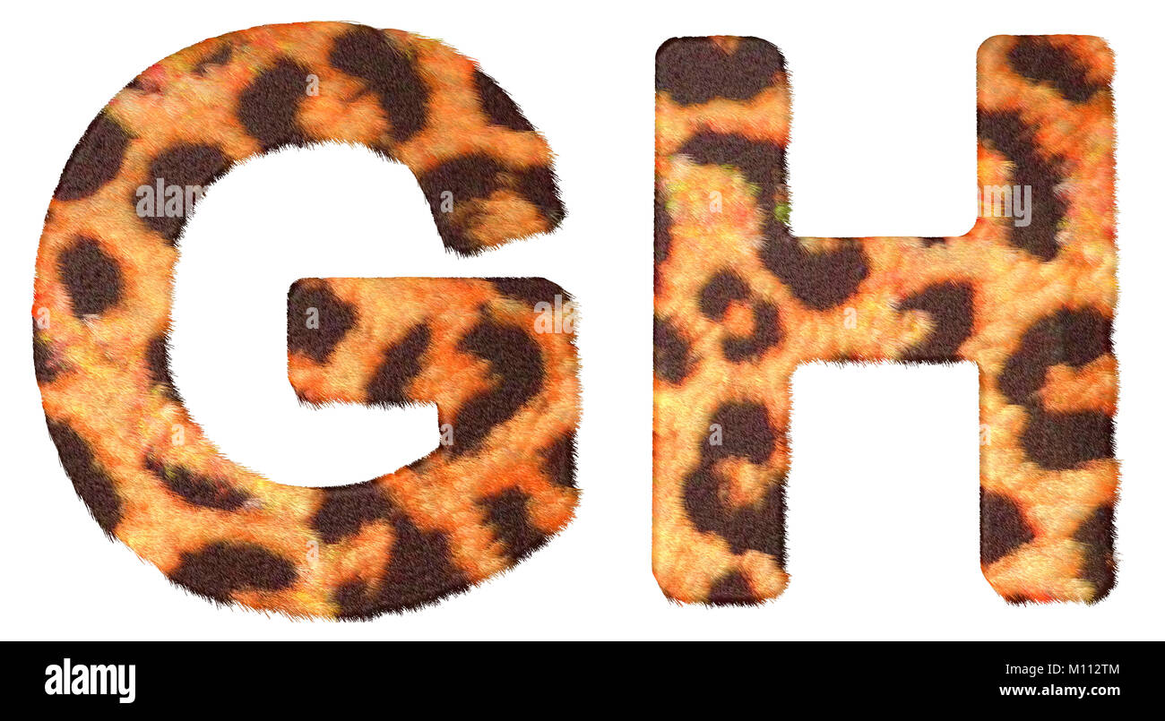 Leopard fur G and H letters isolated over white background Stock Photo ...