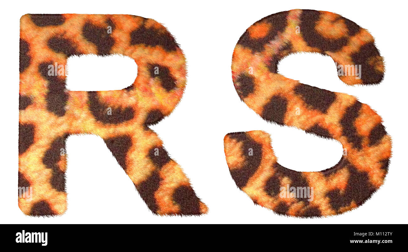 Leopard fur R and S letters isolated over white background Stock Photo ...