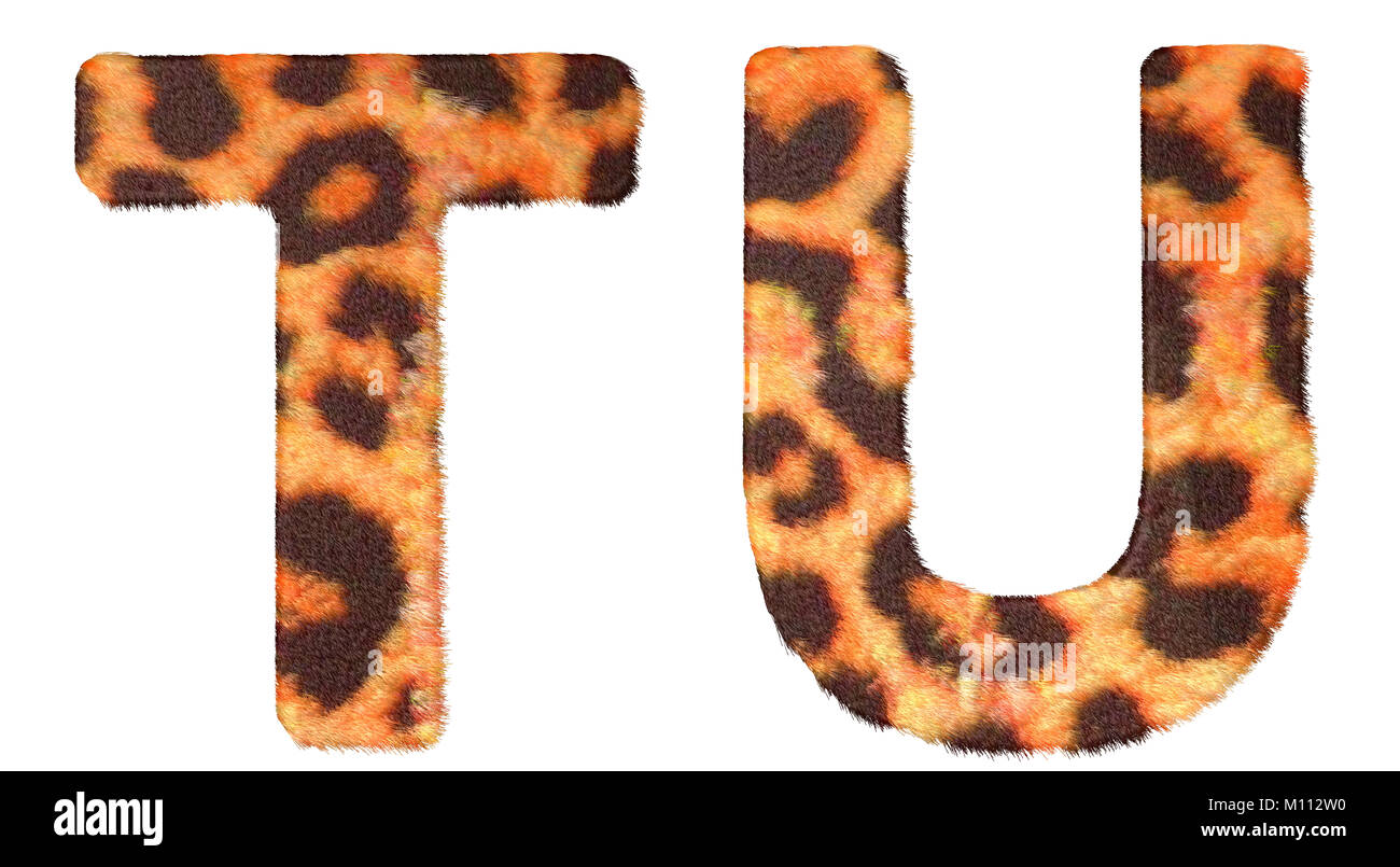 Leopard fur T and U letters isolated over white background Stock Photo ...