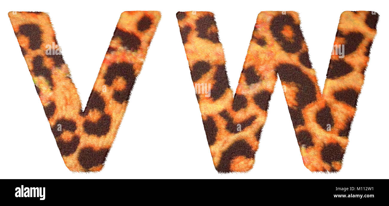 Leopard fur V and W letters isolated over white background Stock Photo ...