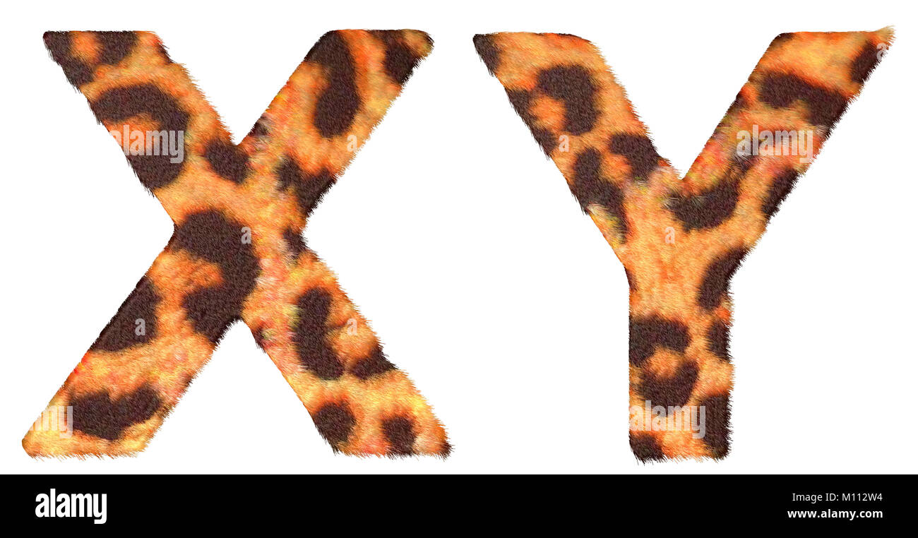 Leopard fur X and Y letters isolated over white background Stock Photo ...