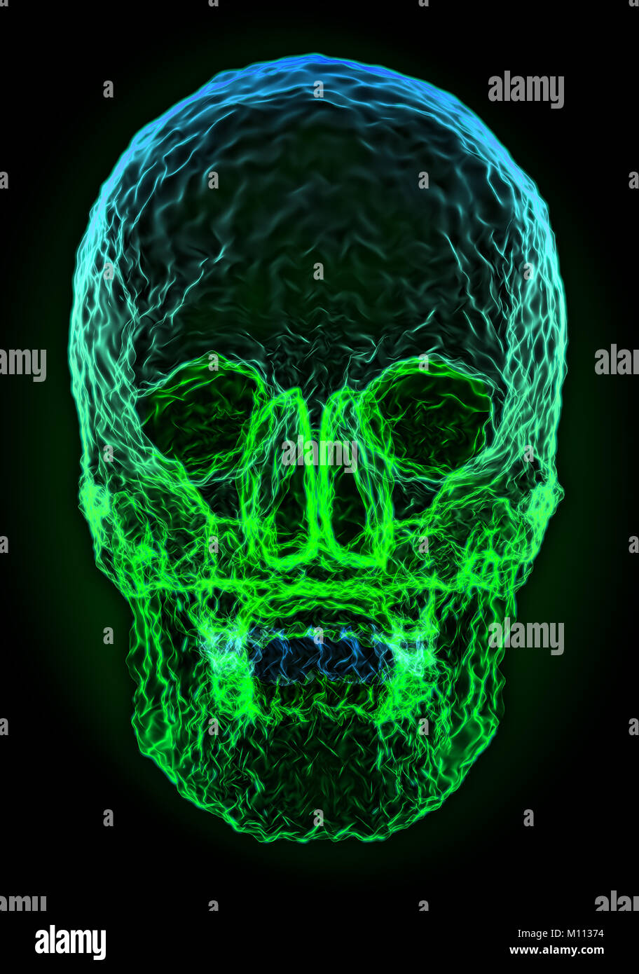 Colorful skull hi-res stock photography and images - Alamy