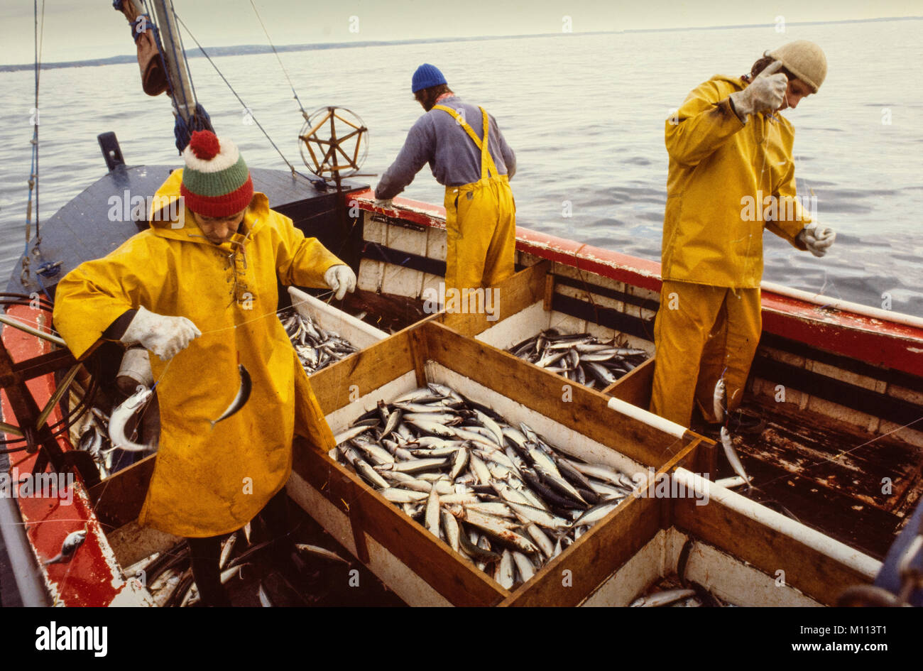 Mackerel line Fishing Cornwall England UK 1978 Stock Photo - Alamy