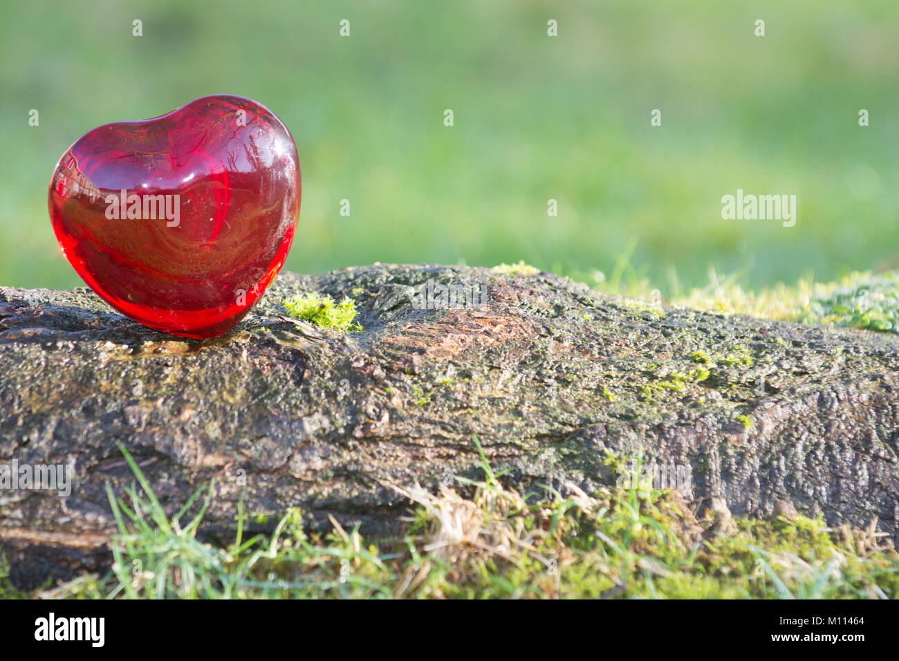 Valentines day love heart with sunlight outside Stock Photo - Alamy
