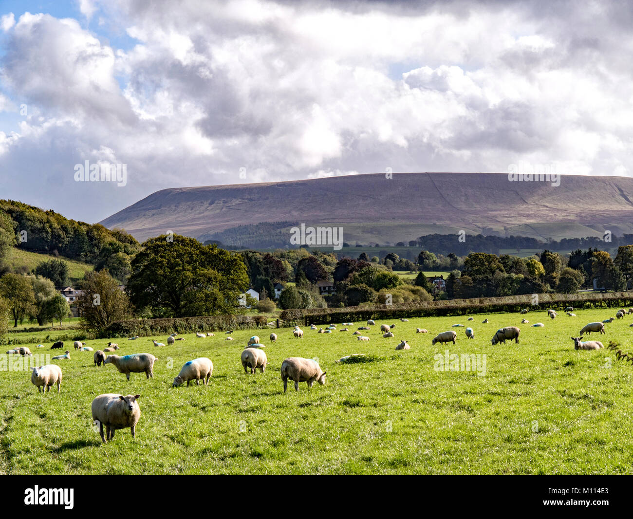 Clitheroe and lancashire and pendle hi-res stock photography and images ...