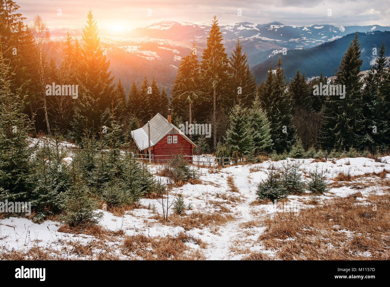 a View on the carpathian pinewood house Stock Photo - Alamy