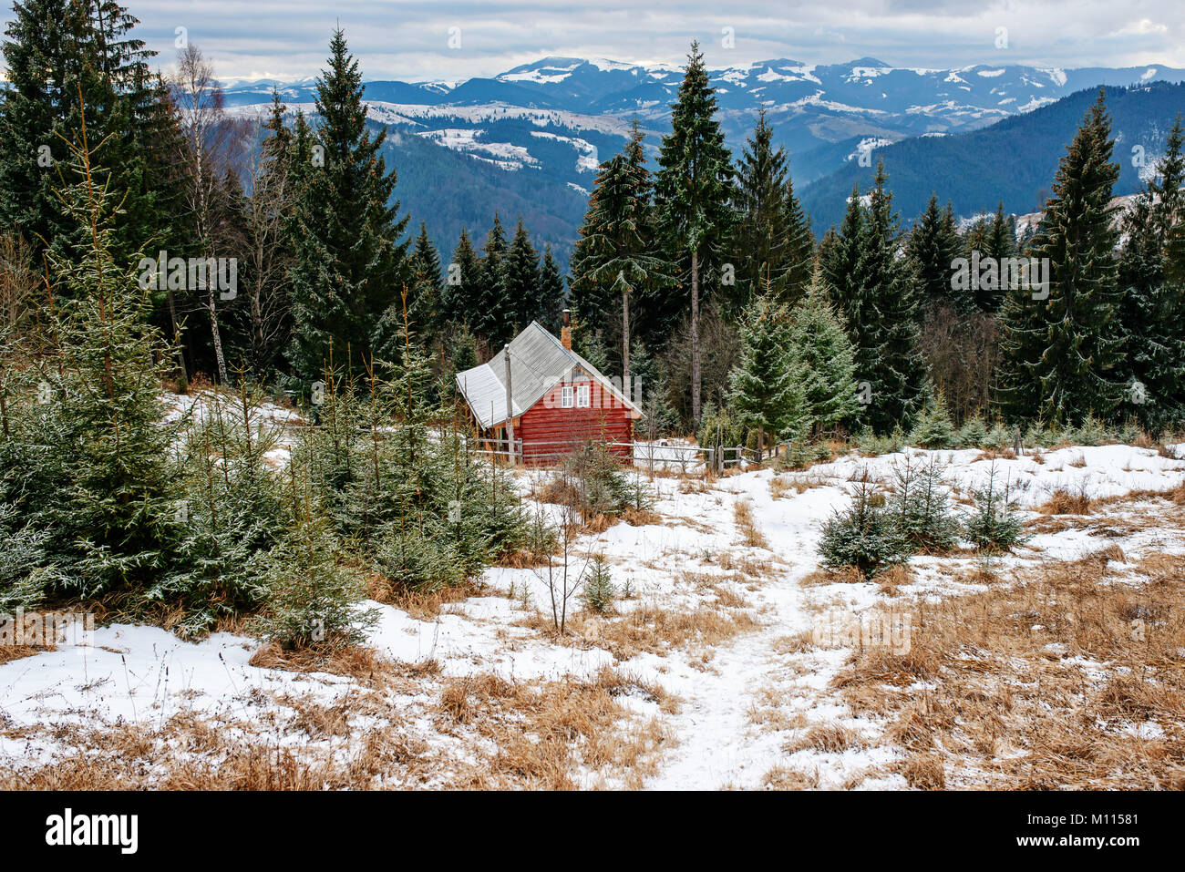 a View on the carpathian pinewood house Stock Photo - Alamy