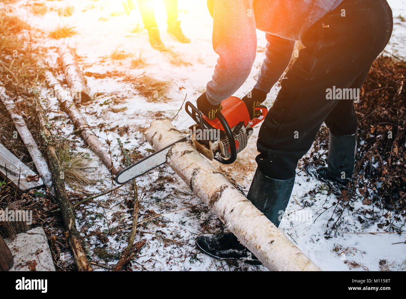Process of sawing log by chainsaw in the winter Stock Photo - Alamy