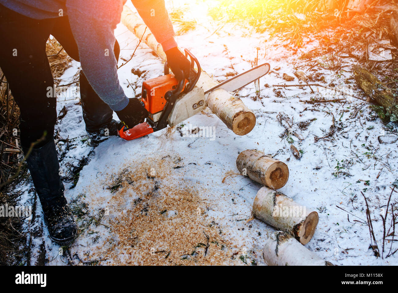Process of sawing log by chainsaw in the winter Stock Photo - Alamy