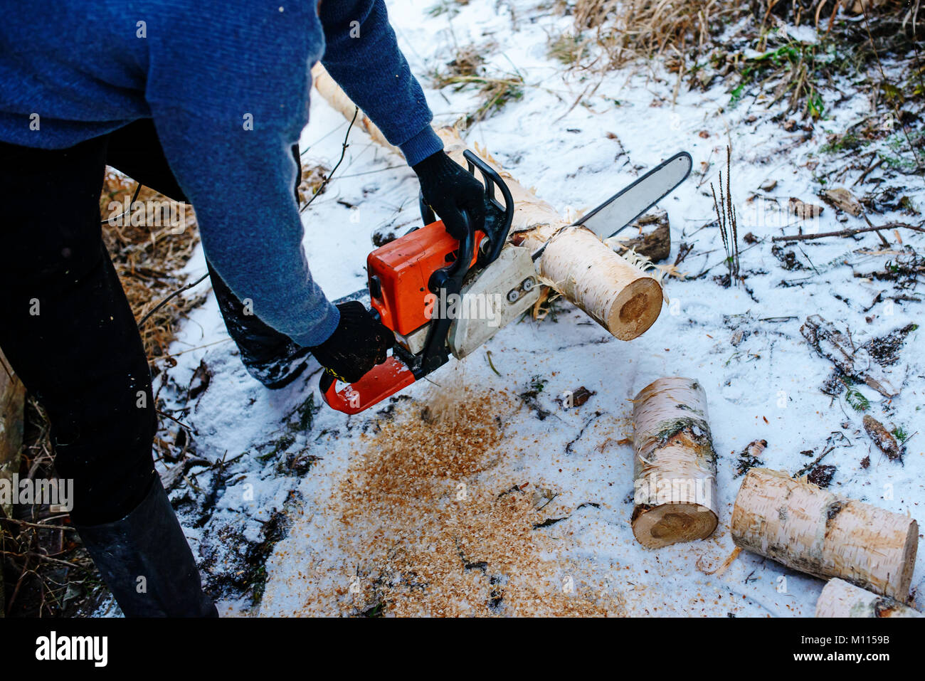 Process of sawing log by chainsaw in the winter Stock Photo - Alamy