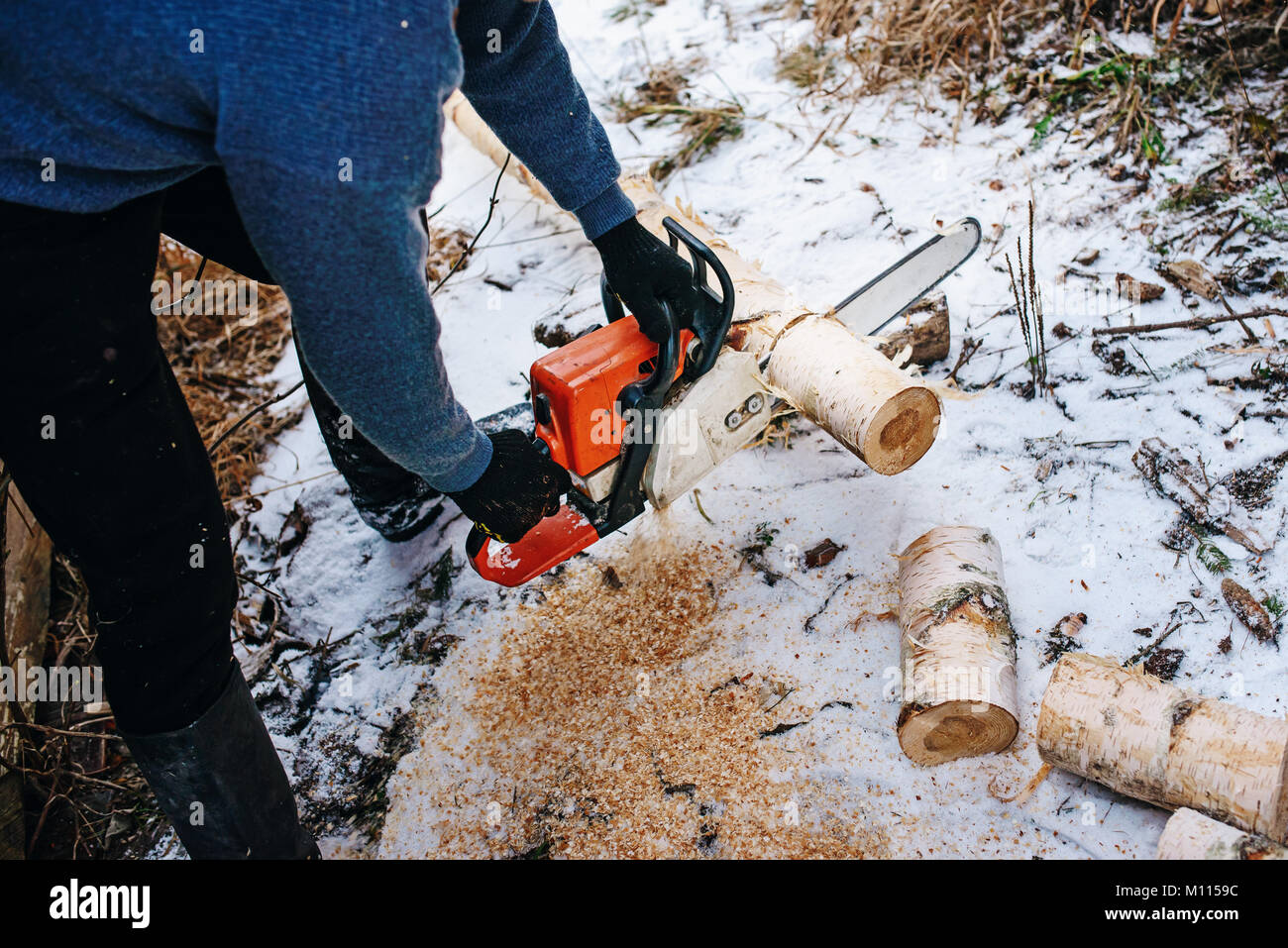 Process of sawing log by chainsaw in the winter Stock Photo - Alamy