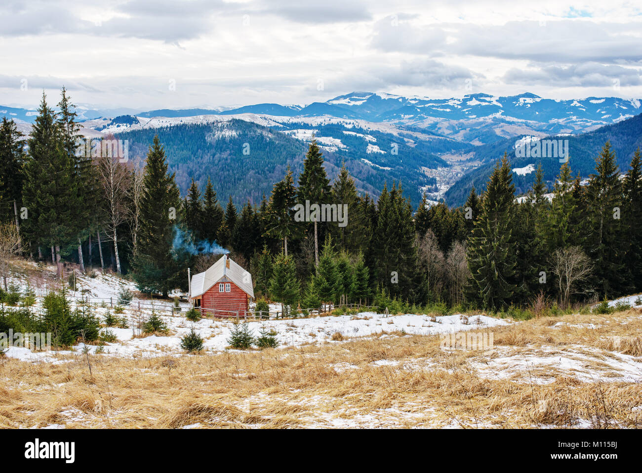 a View on the carpathian pinewood house Stock Photo - Alamy