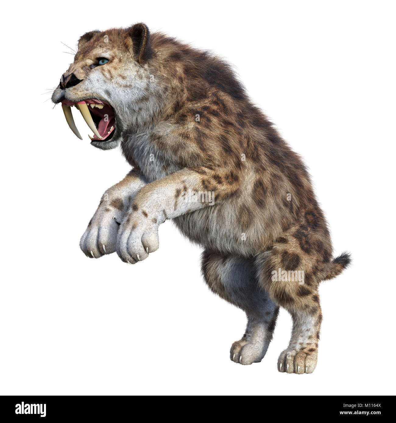 3D rendering of a sabertooth tiger isolated on white background Stock ...