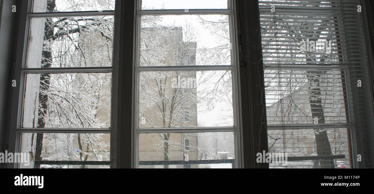window in the background snow-covered Tree and park. Winter Stock Photo ...