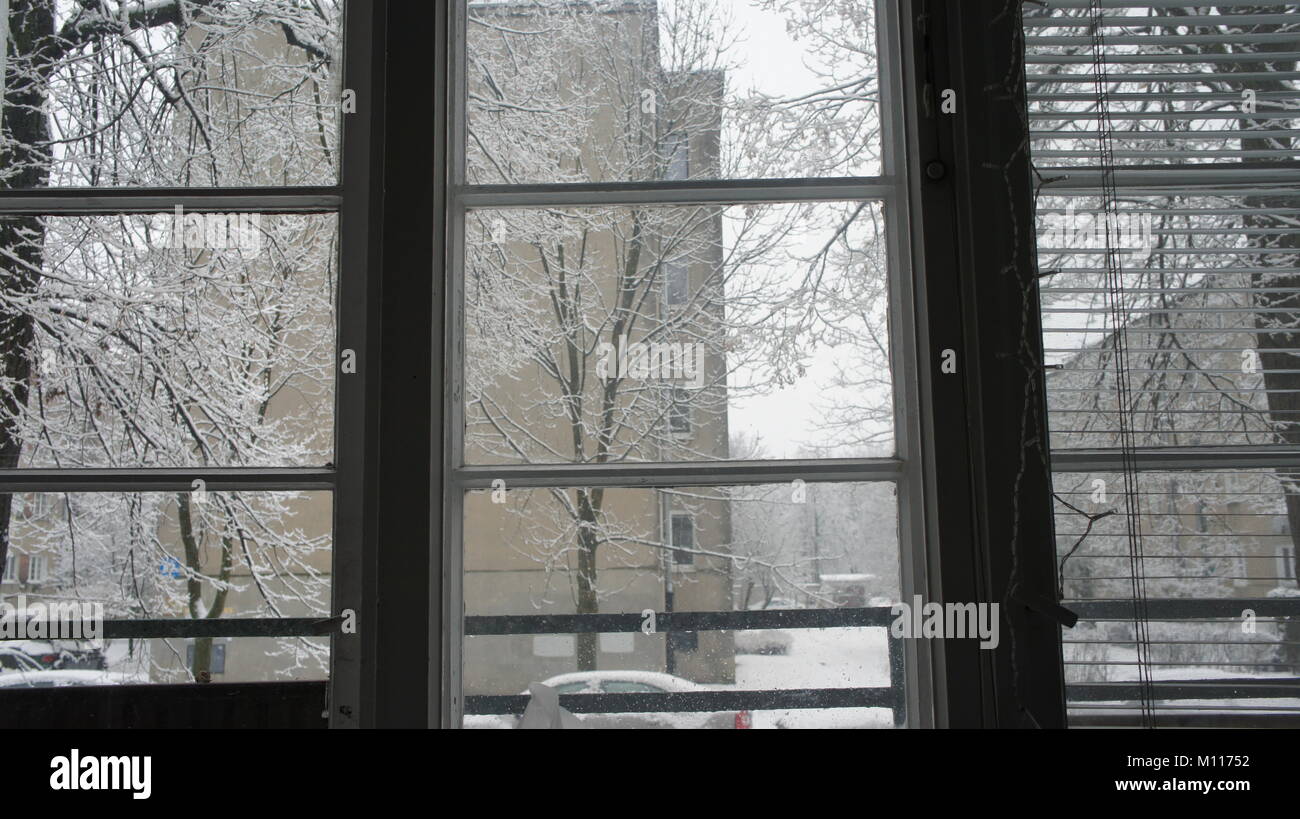 window in the background snow-covered Tree and park. Winter Stock Photo ...