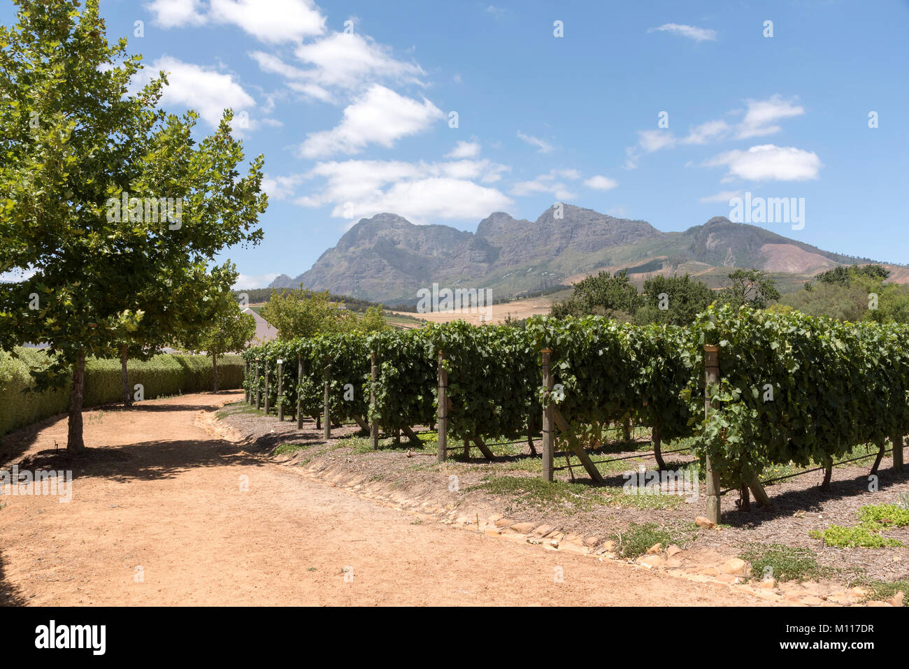 Babylonstoren High Resolution Stock Photography and Images - Alamy