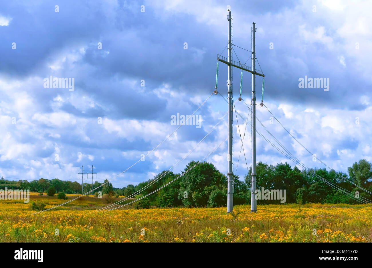 laying of power lines, poles and wires of the transmission line set ...