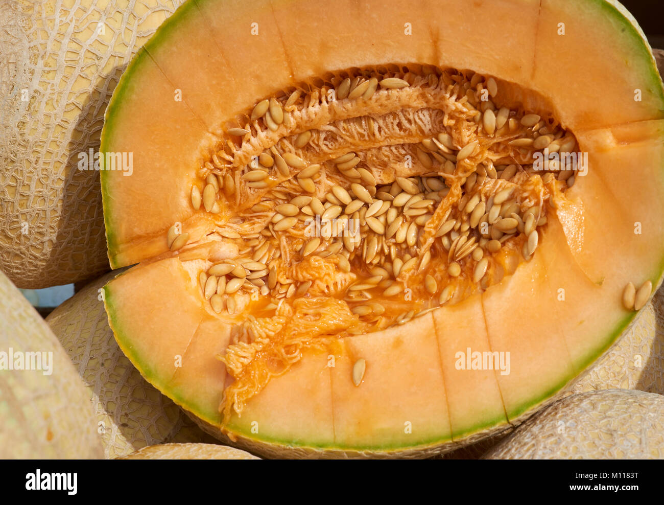 Hard shelled melon hi-res stock photography and images - Alamy