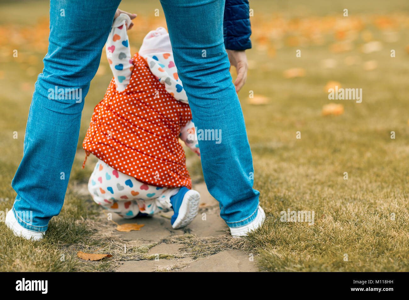 Parent raises his daughter who fell making first steps. Baby girl ...