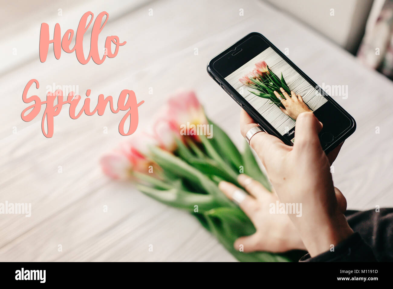 hello spring text sign, hand holding phone taking photo of stylish ...
