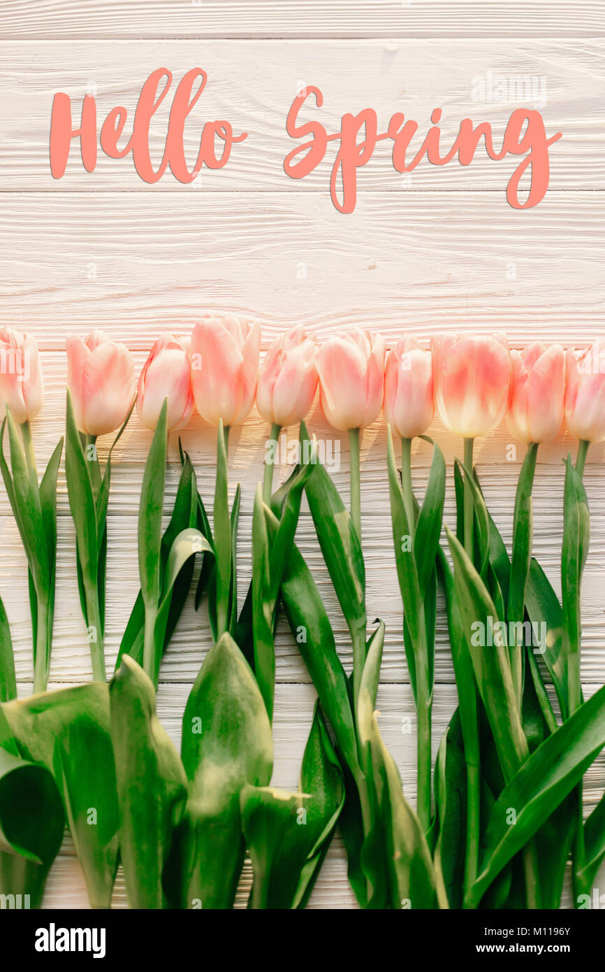 Hello Spring Facebook Cover