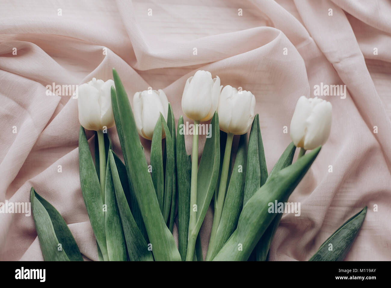 stylish white tulips on beige soft fabric and rustic wooden table ...