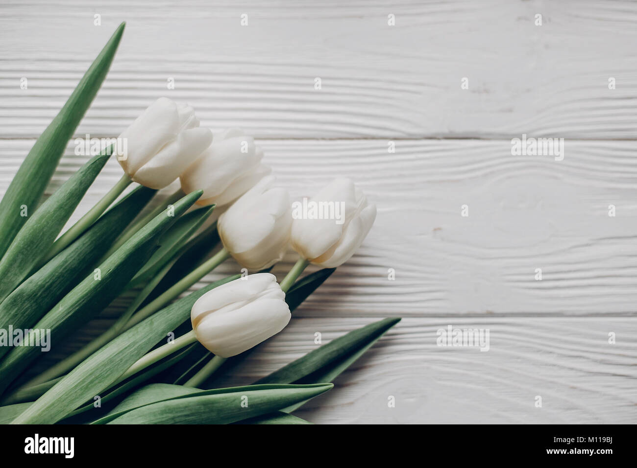 stylish white tulips on rustic wooden table background top view. hello ...