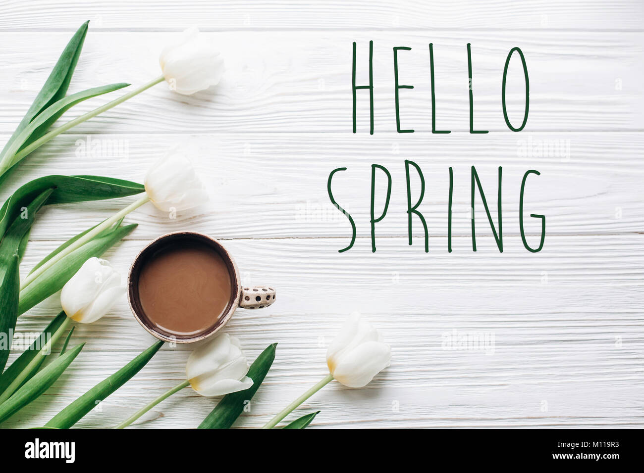 hello spring text sign on tulips and coffee on white wooden rustic ...