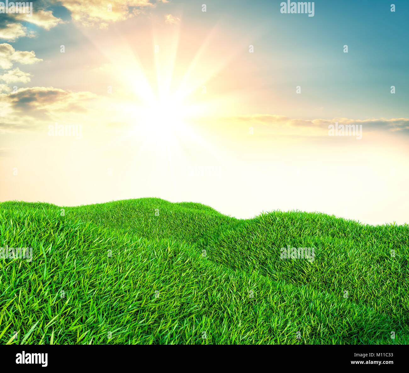 Sky and grass background, fresh green fields Stock Photo - Alamy