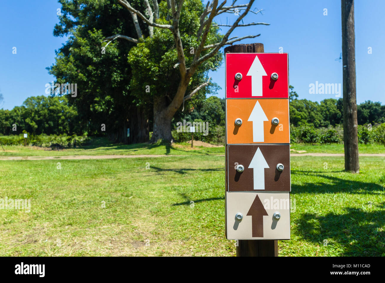 Arrows in four directions hi-res stock photography and images - Alamy