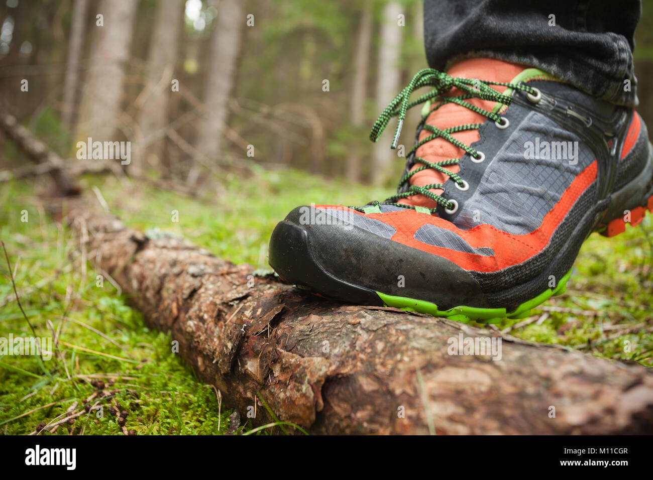 walking in the woods long a path Stock Photo - Alamy