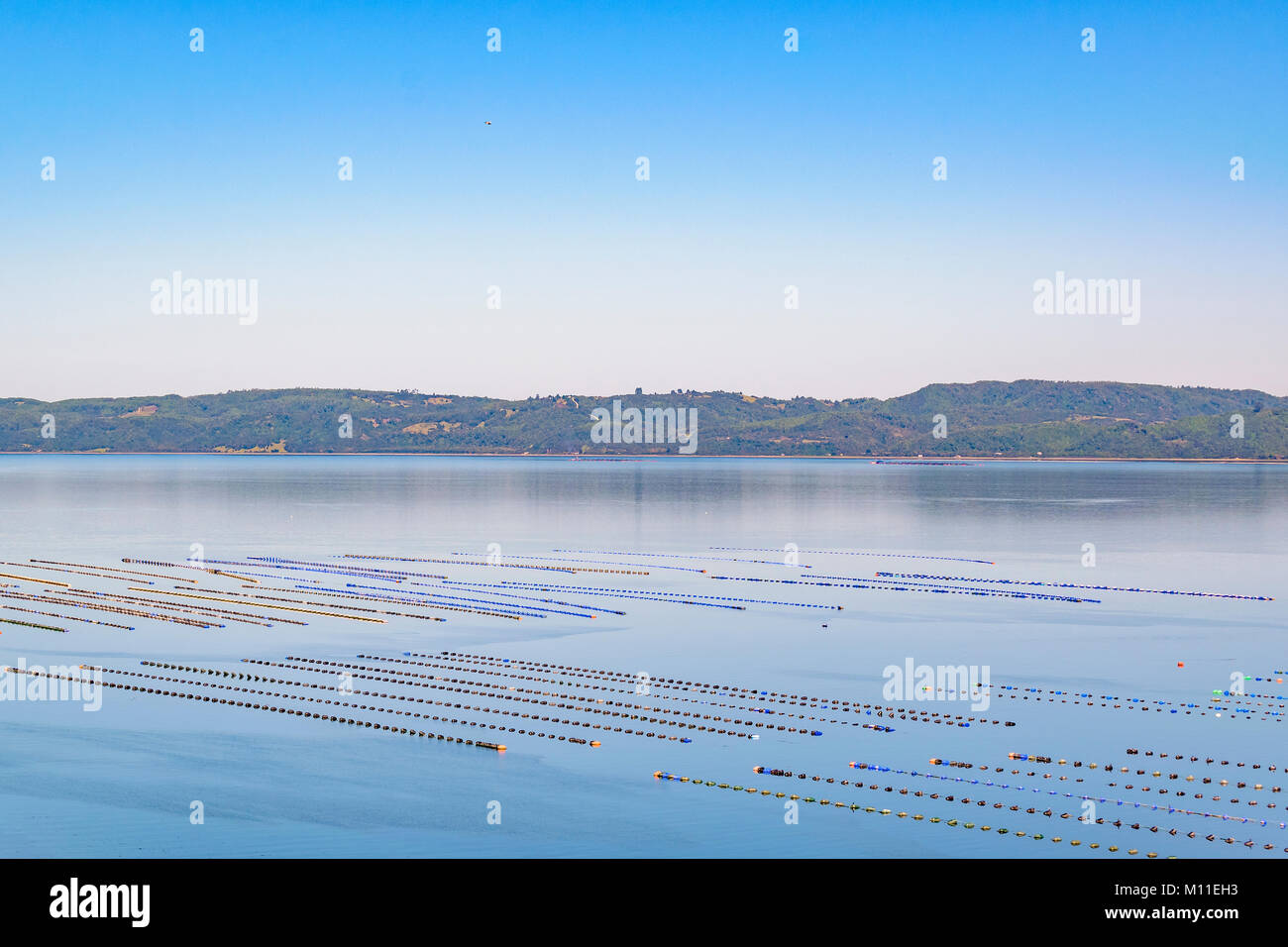 Aerial view of fishing hatchery at chiloe island, chile Stock Photo - Alamy