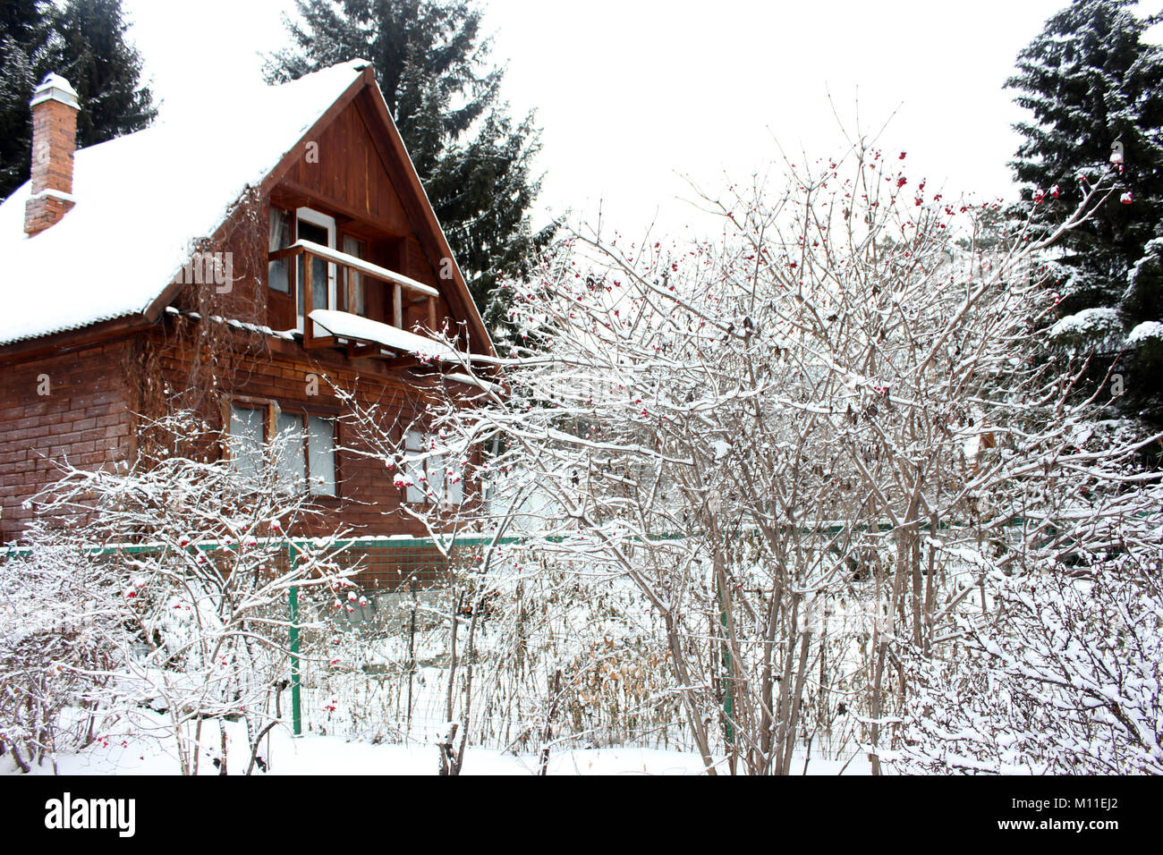 Old rustic wooden house in the snowy forest in a winter Stock Photo - Alamy