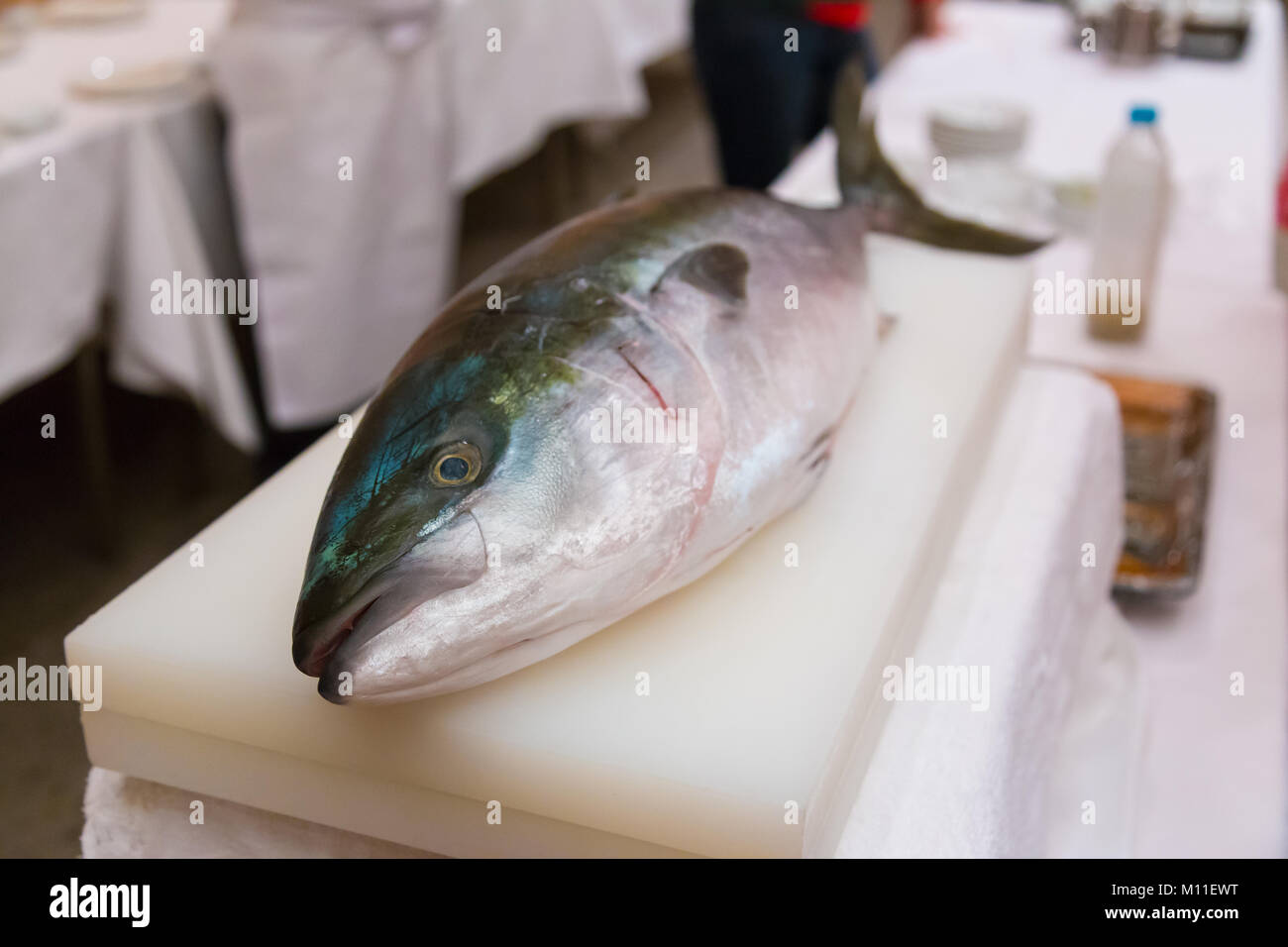 Fresh fish laying on cutting board before being cut to make sashimi and ...