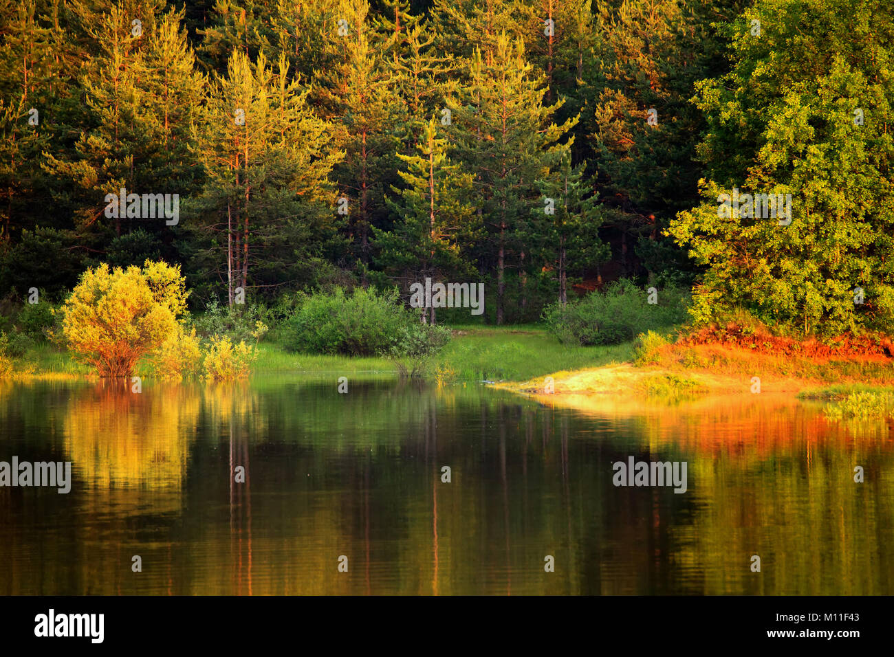 Bulgarian national colors hi-res stock photography and images - Alamy