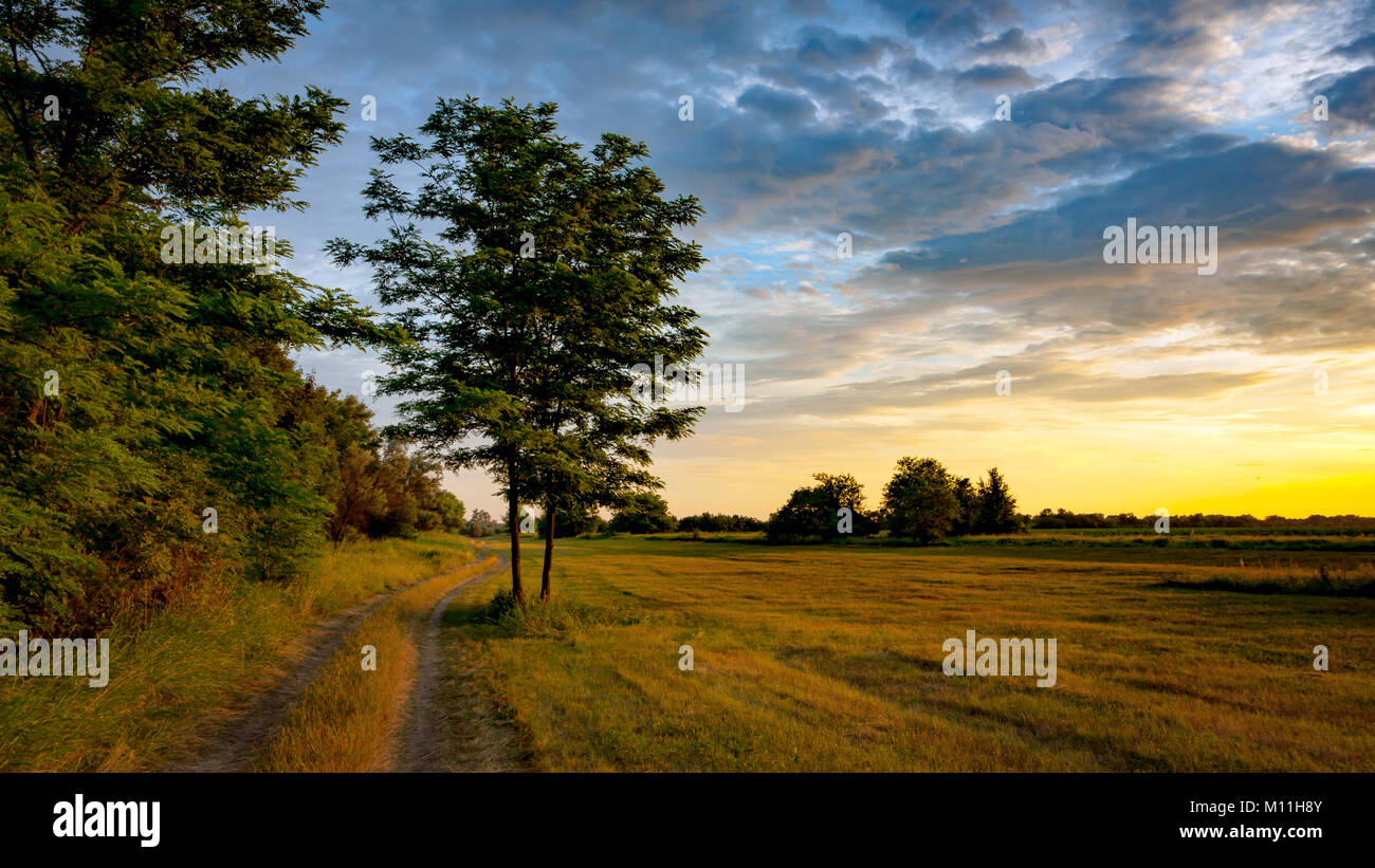 Nice evening landscape with rut road near meadow border Stock Photo - Alamy