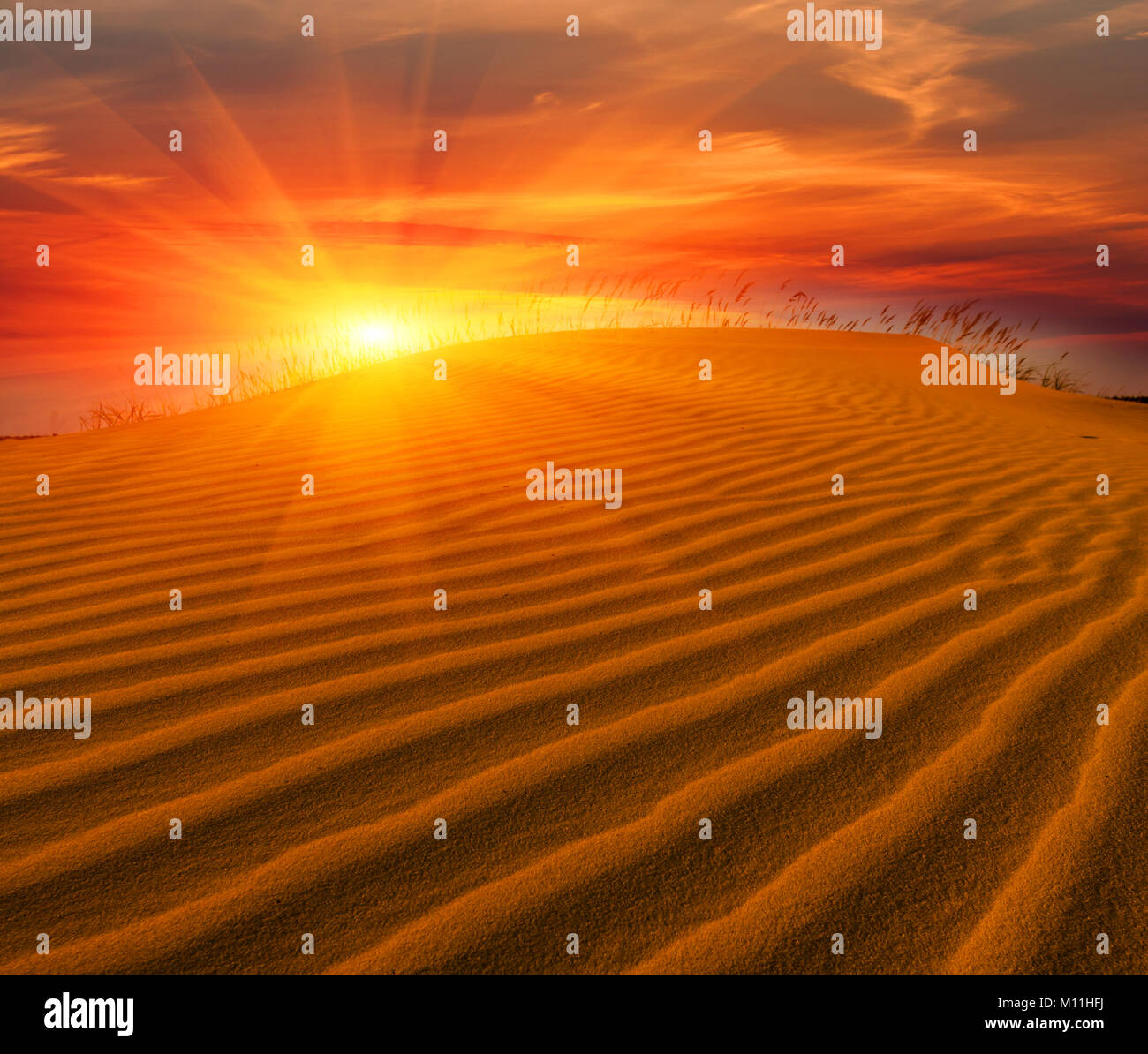 Hot sunset scene in desert Stock Photo - Alamy
