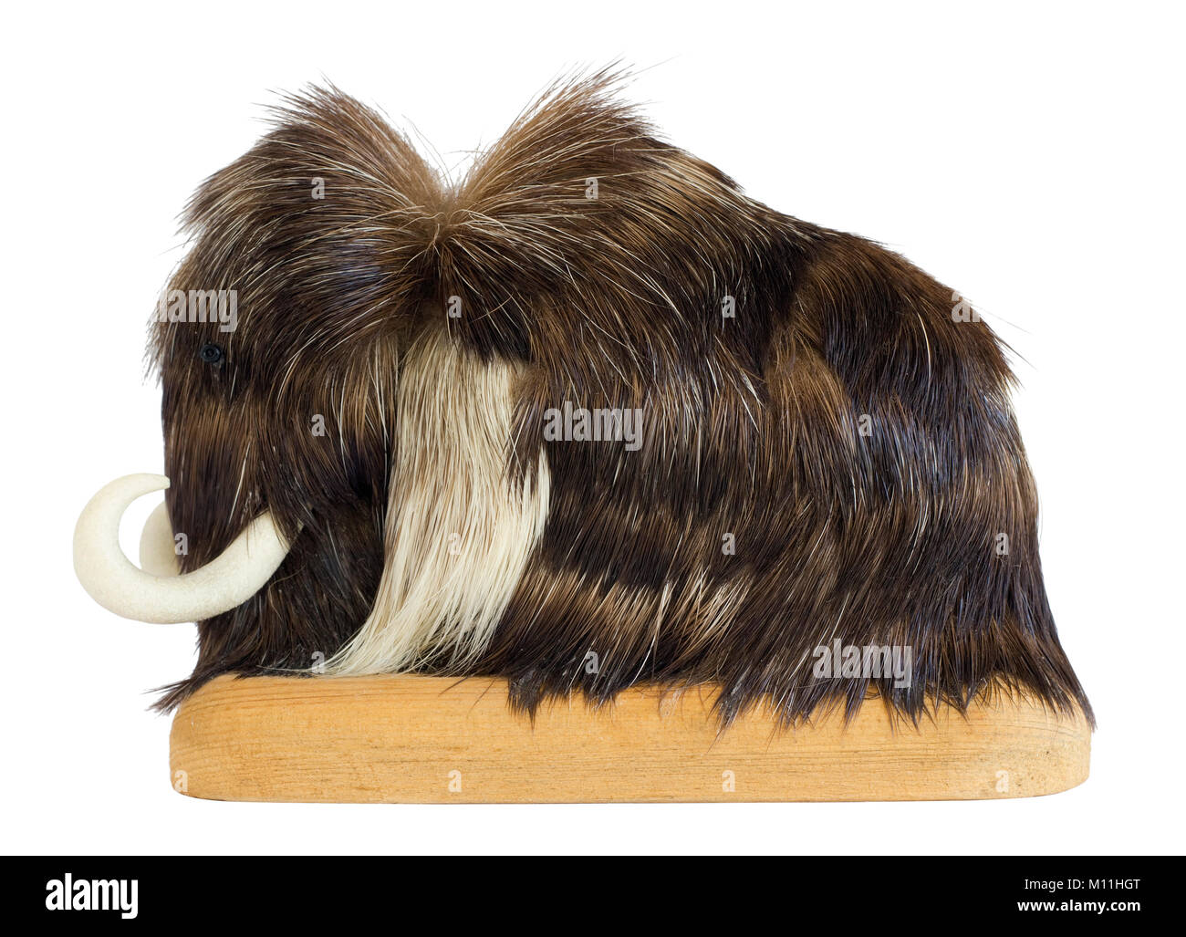 White elephant 6 tusks hi-res stock photography and images - Alamy