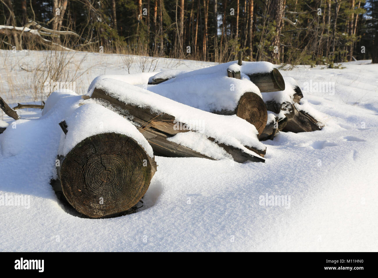 Woden park hi-res stock photography and images - Alamy