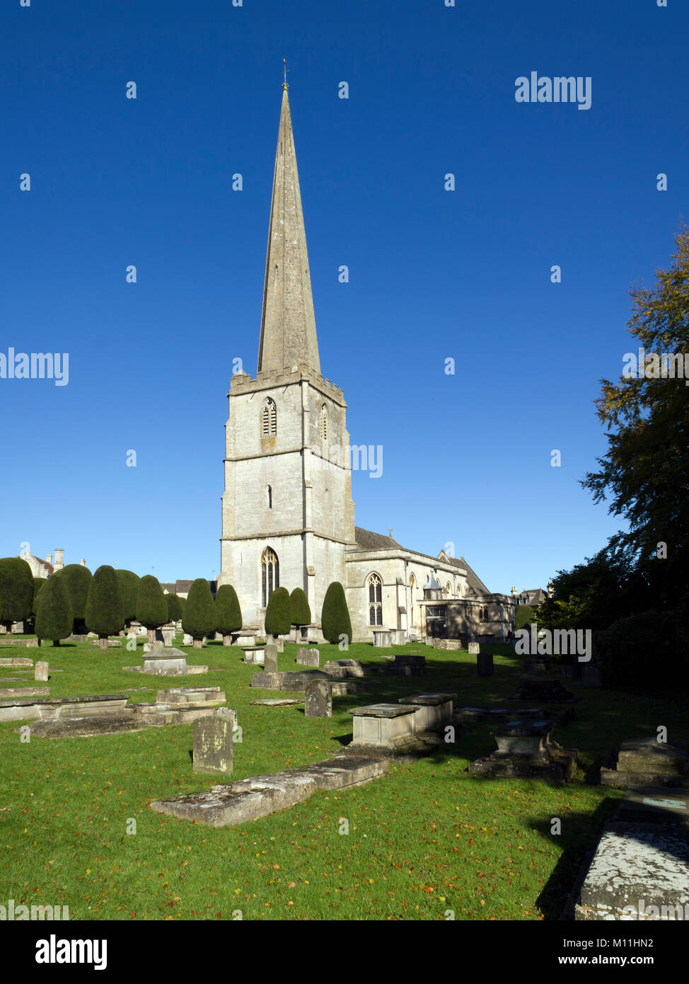The historic church and churchyard yew trees at Painswick in the ...