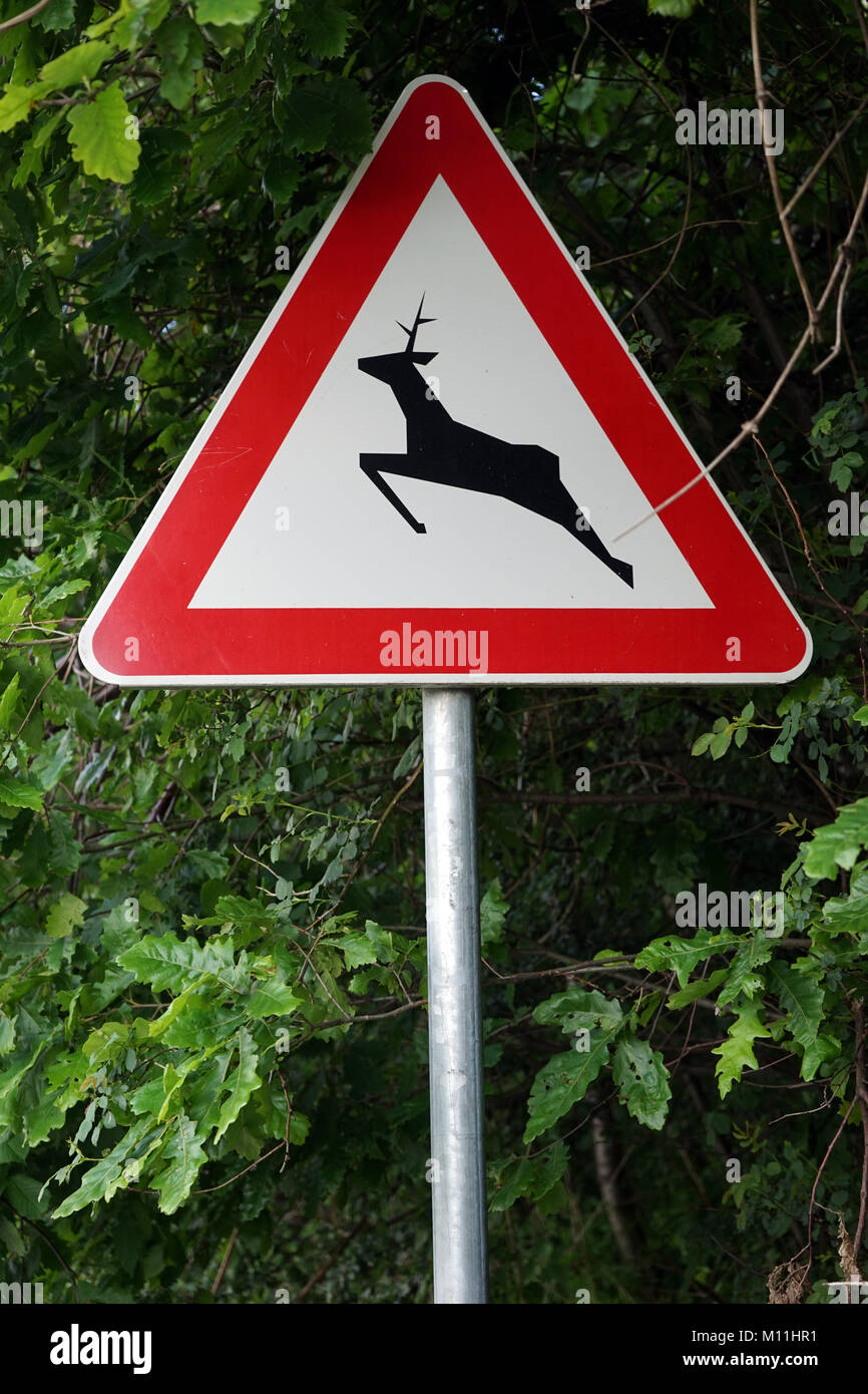 Sign of wild animal on the road near tree Stock Photo - Alamy